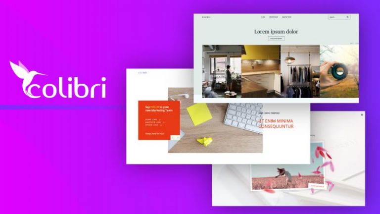 What Is The Most FLEXIBLE WordPress Theme? [20+ Most CUSTOMIZABLE WordPress Theme].
