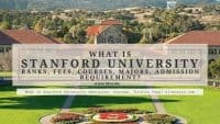What Is Stanford University Rankings, Tuition, Acceptance Rate?