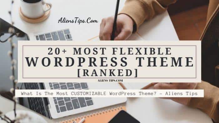 What Is The Most FLEXIBLE WordPress Theme? [20+ Most CUSTOMIZABLE ...