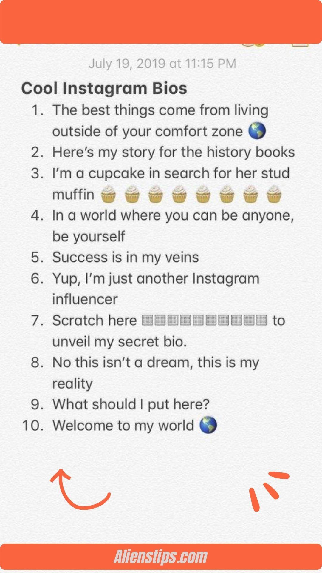 What Are Some Of The AMAZING [INSTAGRAM BIOS]? - Aliens Tips